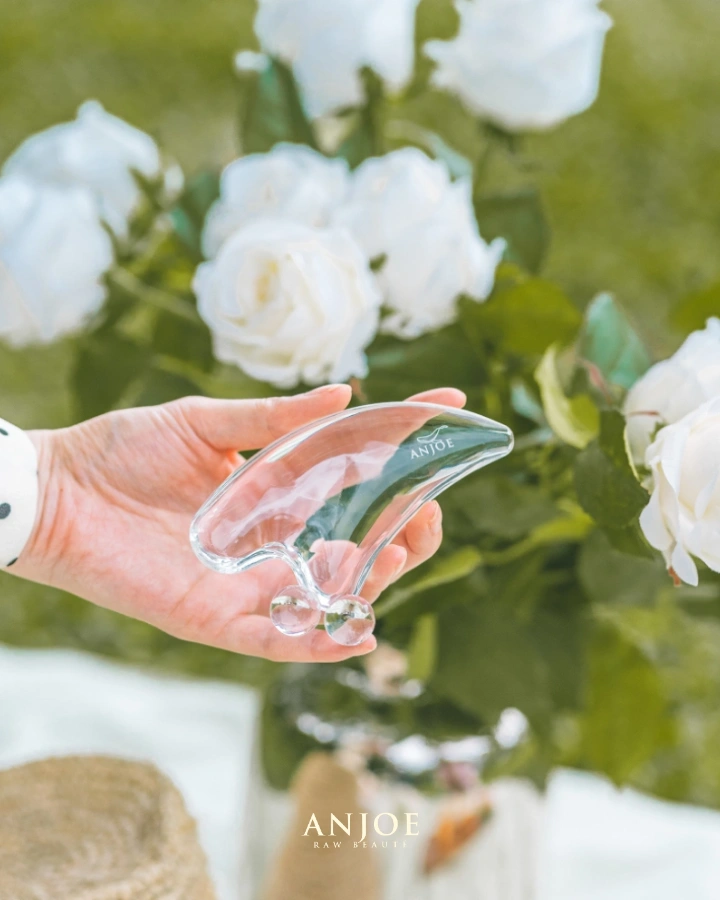 ABSOLUTE COLLECTION - MadeByAnjoe